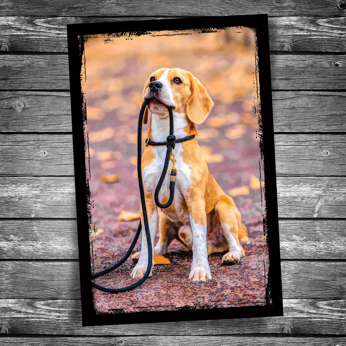 Beagle Dog Postcard – Christopher Arndt Postcard Co