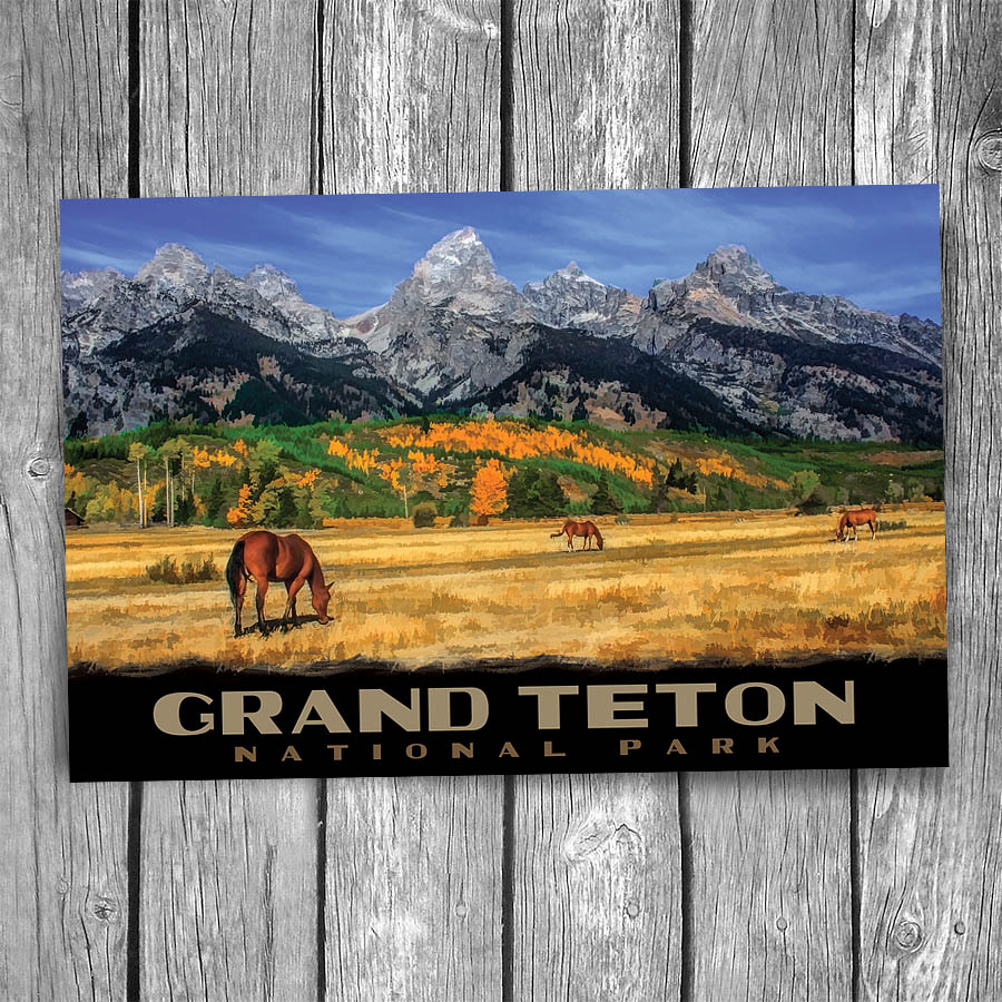 Grand Teton National Park Horses Postcard – Christopher Arndt Postcard Co