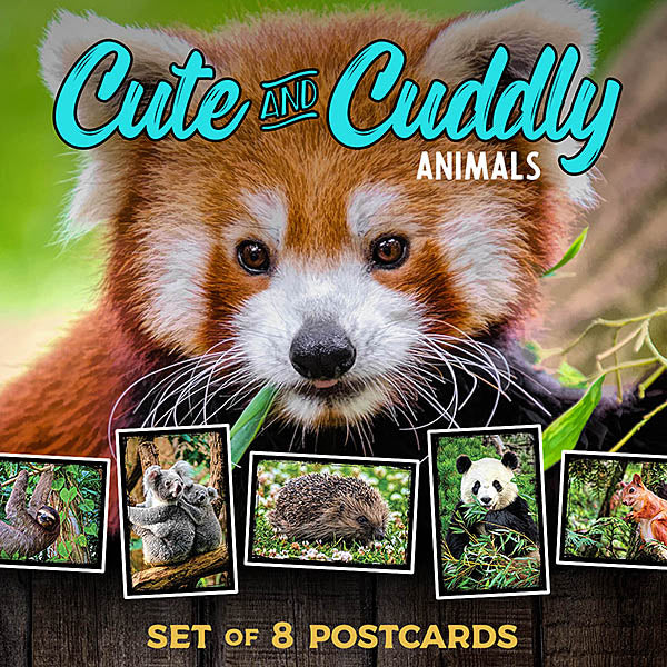 Cute and Cuddly Animals – Christopher Arndt Postcard Co