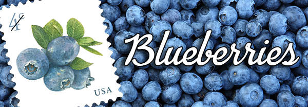 Blueberries Stamp – Christopher Arndt Postcard Co