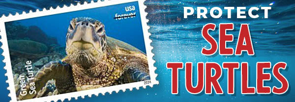 Protect Sea Turtles Stamps – Christopher Arndt Postcard Co