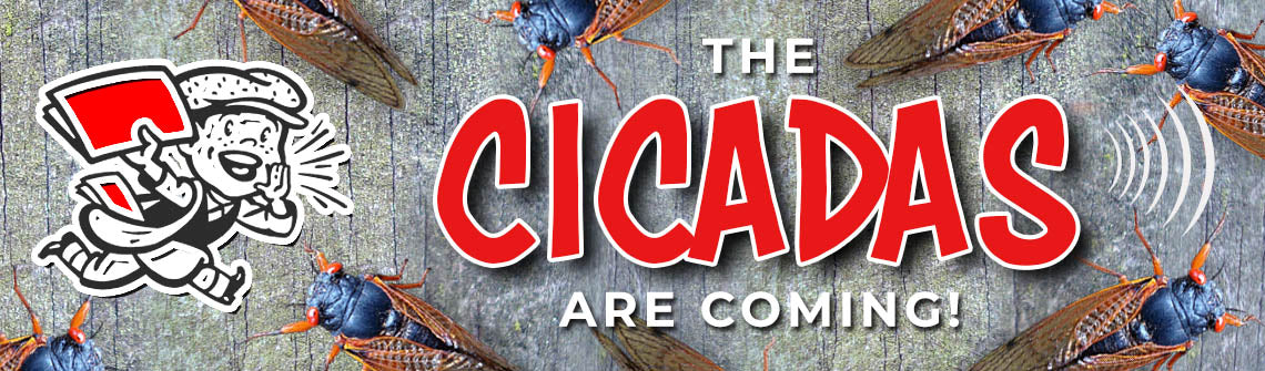 Christopher Arndt Postcard Co | Postcards that Dazzle