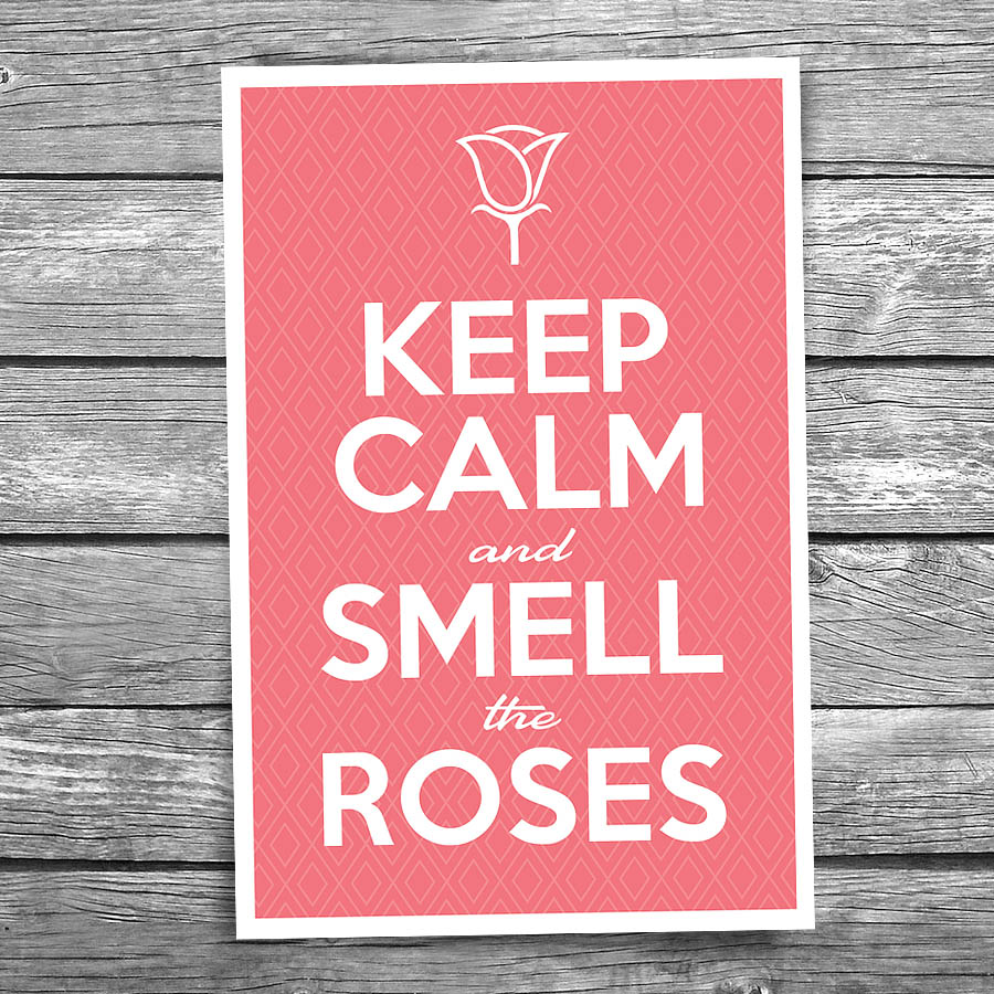 Keep Calm and Smell the Roses Postcard – Christopher Arndt Postcard Co
