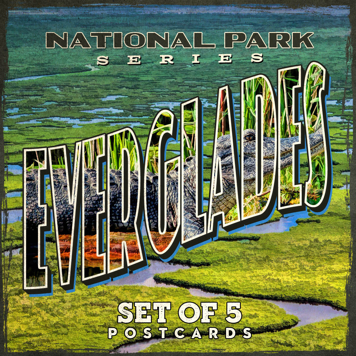 Everglades National Park Postcards | Set of 5 – Christopher Arndt ...