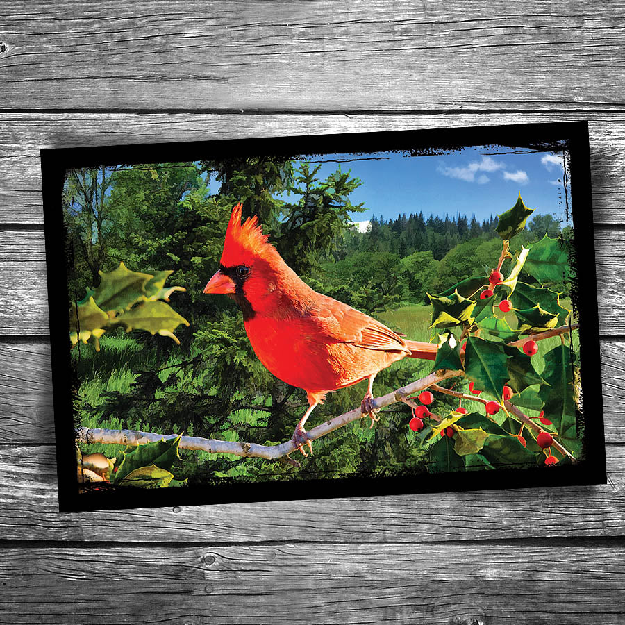 Cardinal Postcard - OLD DESIGN – Christopher Arndt Postcard Co