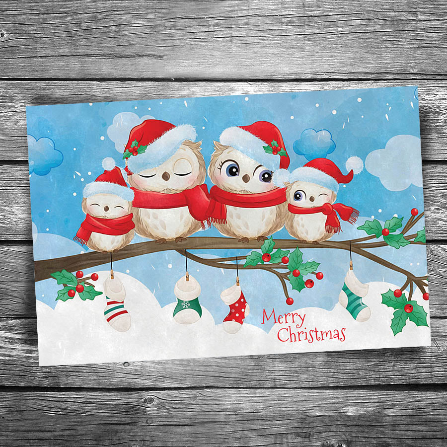 Winter Owls Christmas Postcard – Christopher Arndt Postcard Co