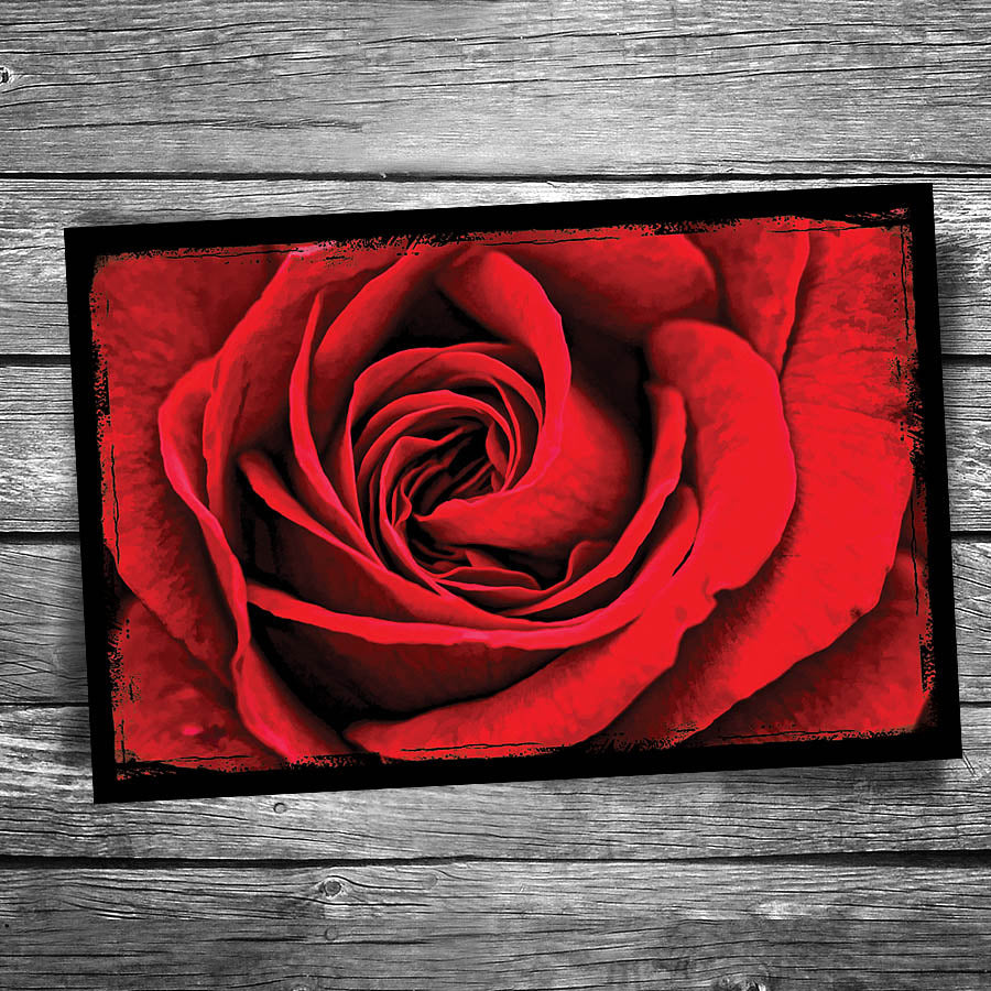 Rose Postcard | OLD DESIGN – Christopher Arndt Postcard Co