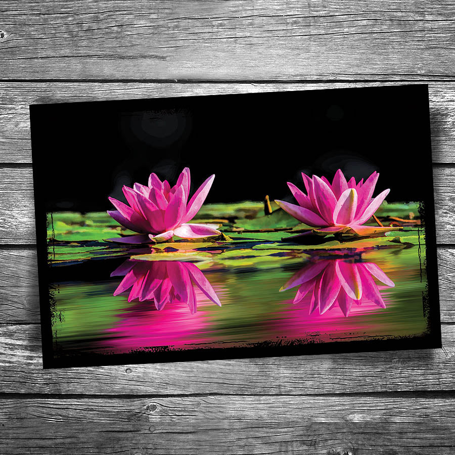 Water Lily Postcard | OLD DESIGN – Christopher Arndt Postcard Co