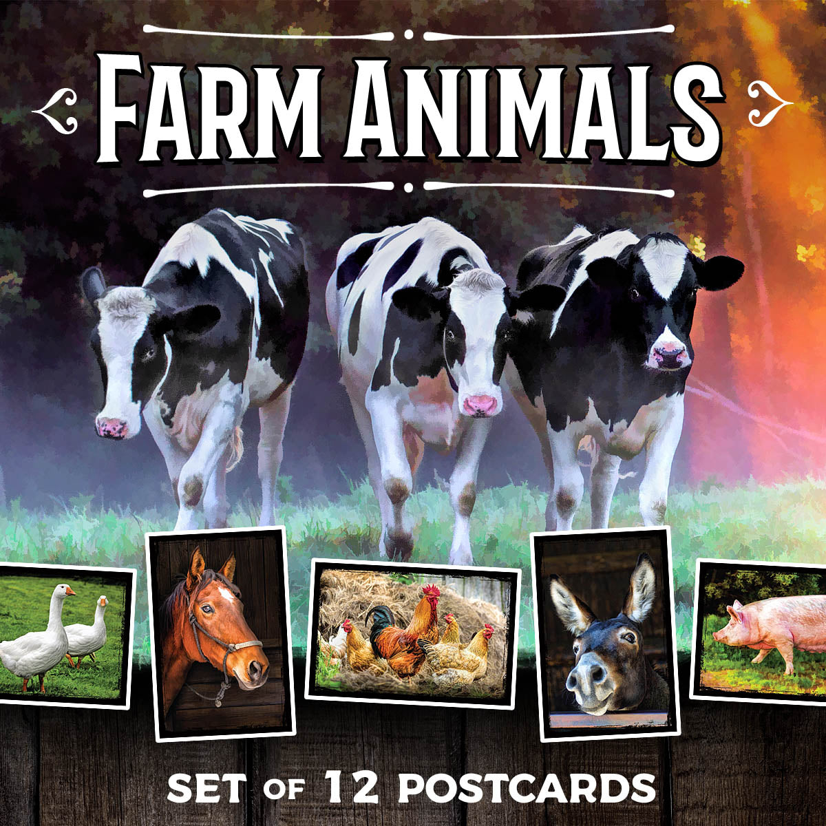 Farm Animal Postcards – Christopher Arndt Postcard Co